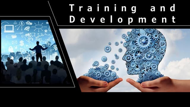 DOJO Training room | Training DOJO PPT | PDF