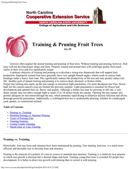 Taining and pruning in horticultural crops | PPTX