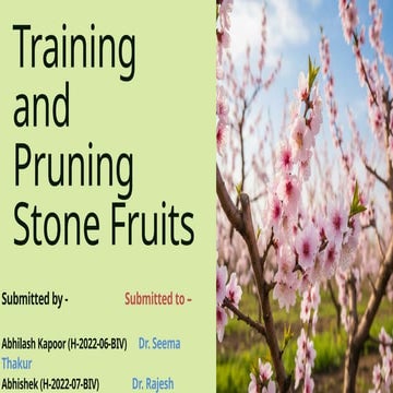 Taining and pruning in horticultural crops | PPTX