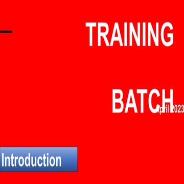 Training Batch.pptx
