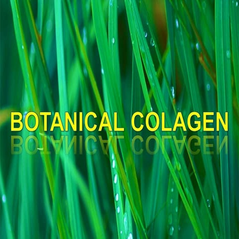 Training botanical colagen | PPT
