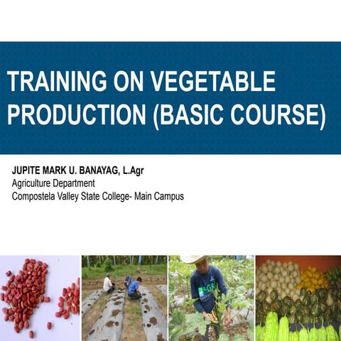 Training on Vegetable Production (Basic Course) | PDF