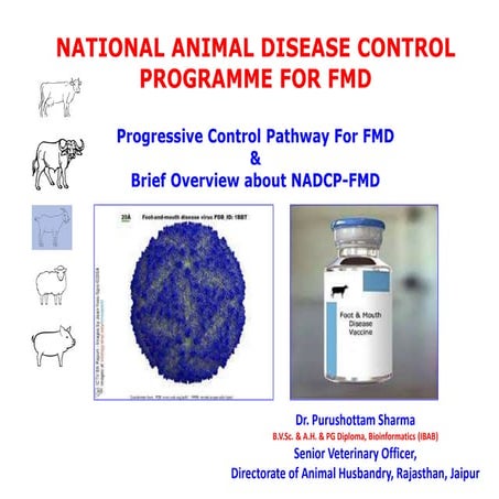 Training of vaccination in FMD affected cattle | PDF