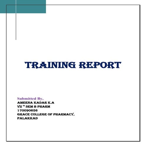 Industrial Training report | PDF
