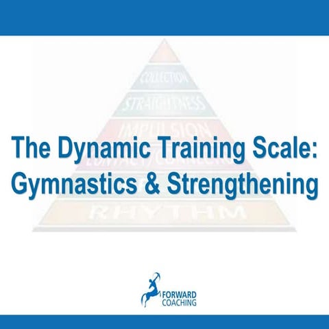 The Dynamic Training Scale | PPTX