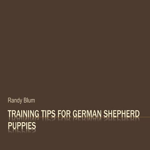 GERMAN SHEPHERD TRAINING & TIPS.pptx