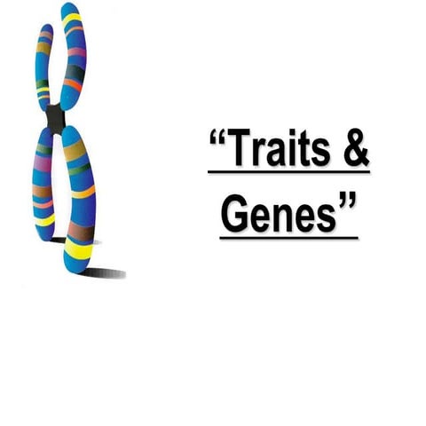traits_genes_and_alleles.ppt