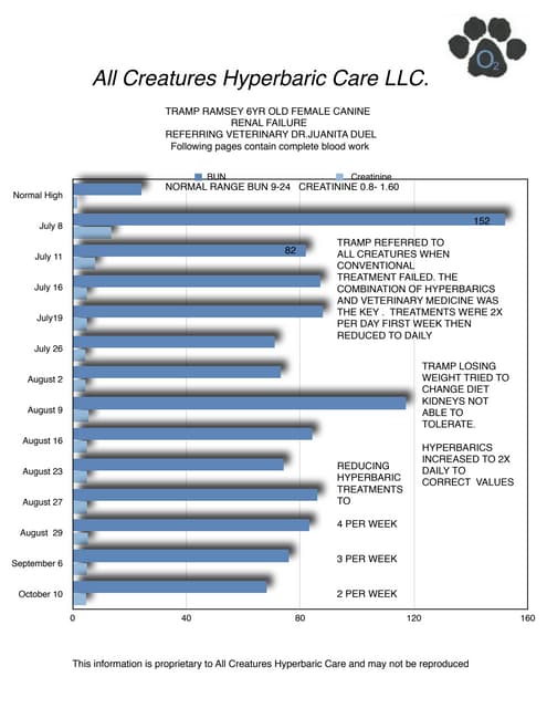 ACHC Chronic Liver Failure | PDF