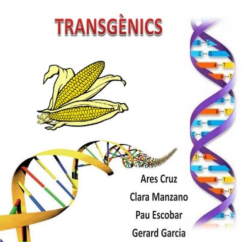 Transgènics | PPTX