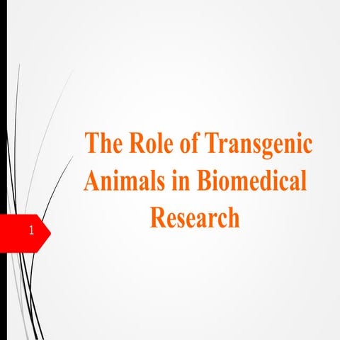 The Role of Transgenic Animals in Biomedical Research | PPTX