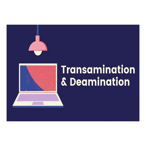 Amino acid metabolism | Transamination | Deamination | | PDF
