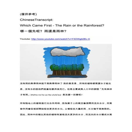 (Youtube) Chinese Transcript | DOCX