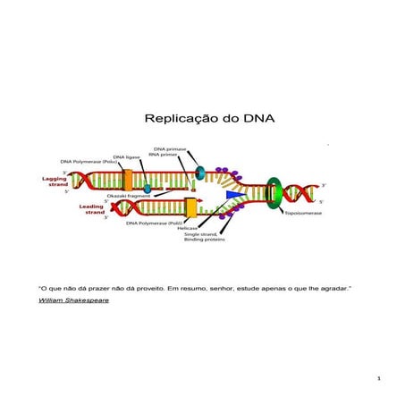 Replicação do DNA | DOCX