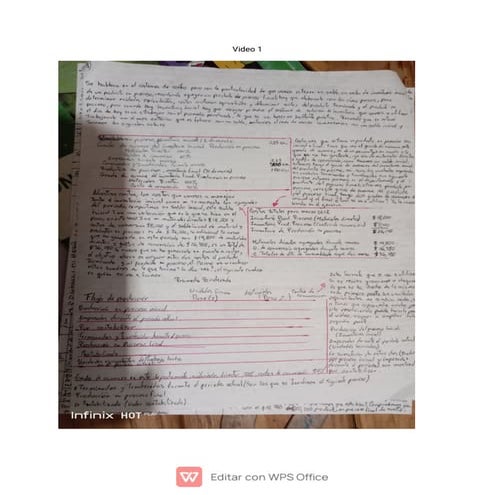 transcripción de Robert perez.pdf