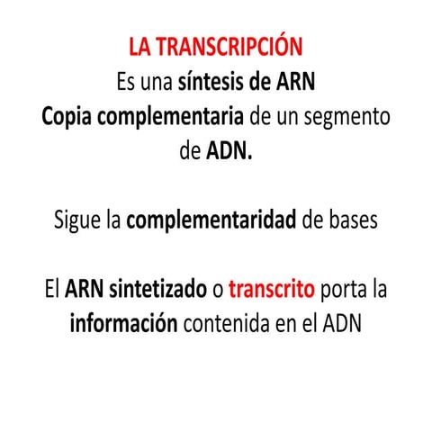Transcripción sólo | PPTX
