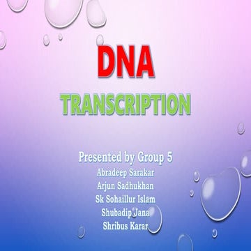 DNA Transcription | PPTX