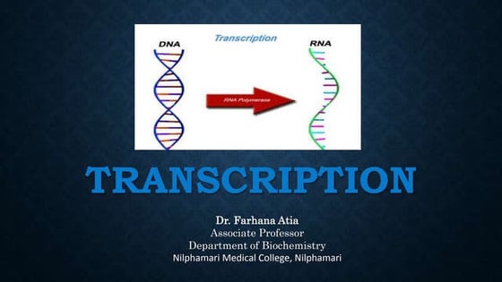 TRANSCRIPTION IN EUKARYOTES | PPT