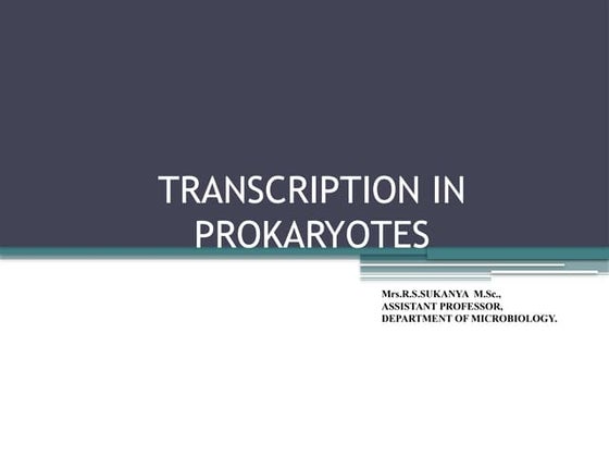 Transcription in prokaryotes | PPTX | Chemistry | Science