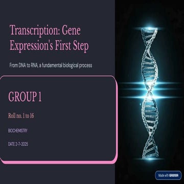 Transcription-Gene-Expressions-First-Step.pdf