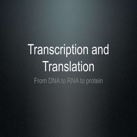 transcription-translation.ppt