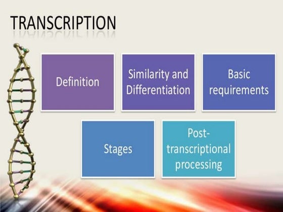 C3 and c4 plants ,characteristic ,cycles and significance | PPTX | Science