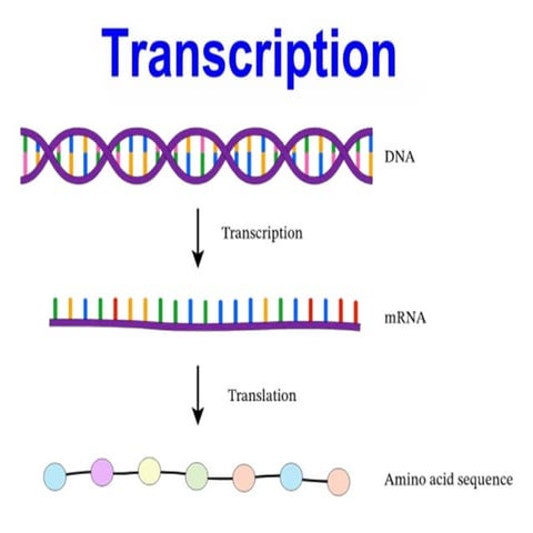 7 Proximate analysis.pptxbiochemistryyyy | PPTX