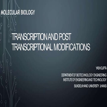 Transcription and post transcriptional modifications | PPT
