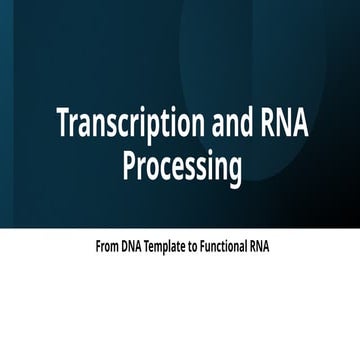 Transcription and RNA Processing Powerpoint | PPTX