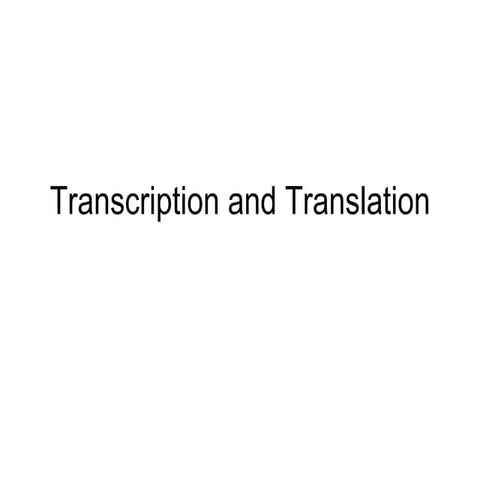 Transcription and Translation PowerPoint | PPT