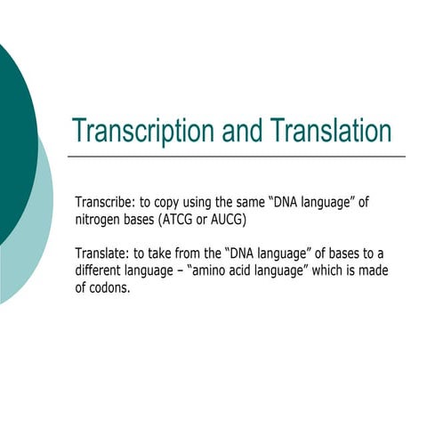 Transcriptionand translation | PPT | Programming Languages | Computing