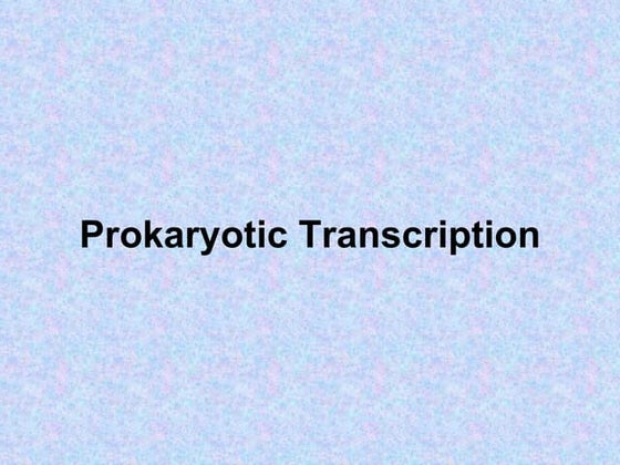 Transcription in prokaryotes and eukaryotes | DOCX | Chemistry | Science