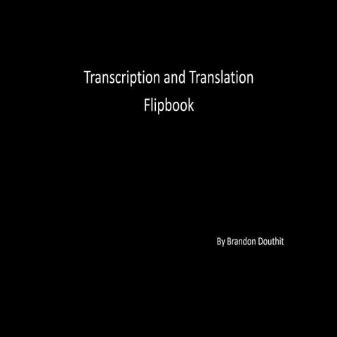 Transcription and translation project | PPTX