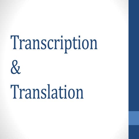 Transcription and Translation | PPT