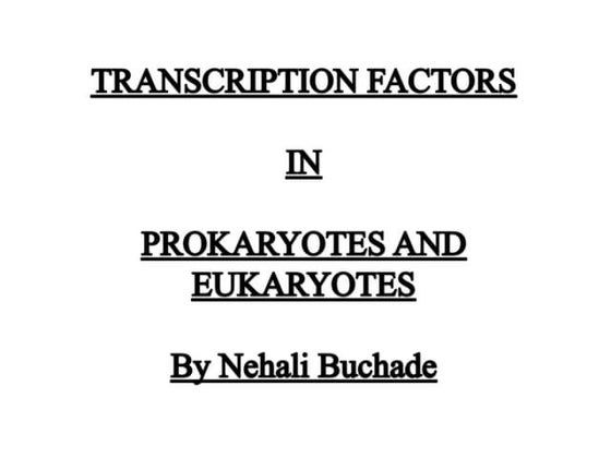 Transcription & Translation inhibitors | PDF