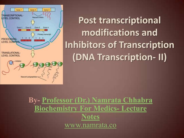 Dna damage and repair | PPT