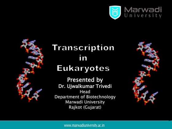 Requirements for translation in prokaryotes | PPT
