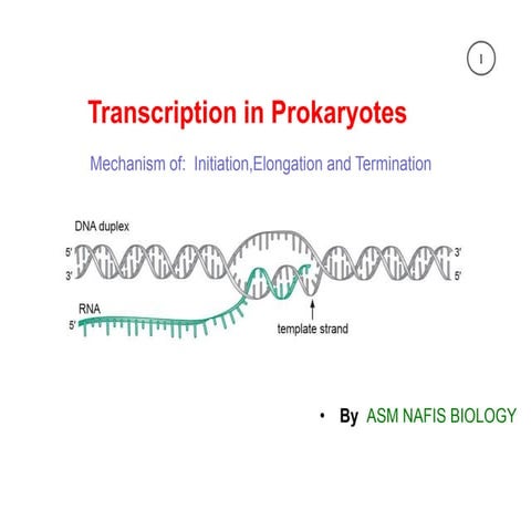 Transcription in prokaryotes. | PPTX