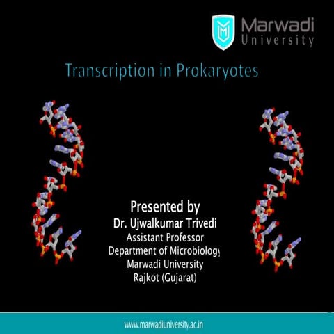 Transcription in Prokaryotes | PPTX