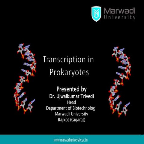 Transcription in Prokaryotes (Extended). | PPTX