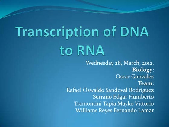 Transcription in prokaryotes | PDF