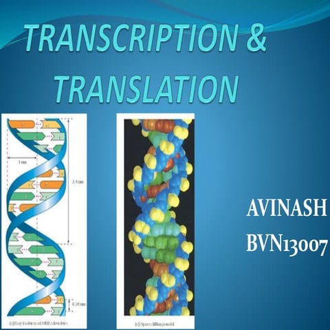 Role of DNA and A in Protein synthesis | PPTX
