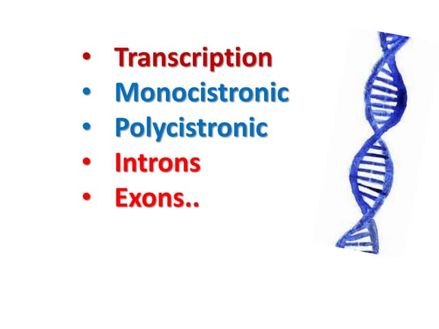 How to read a codons chart | PDF
