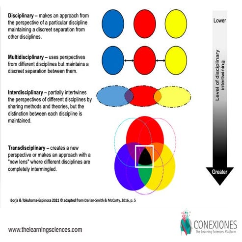Transdisciplinary Explanation | PDF