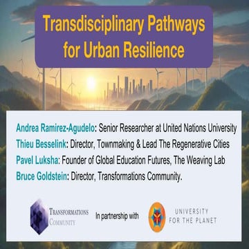 Transdisciplinary Pathways for Urban Resilience [Work in Progress].pptx