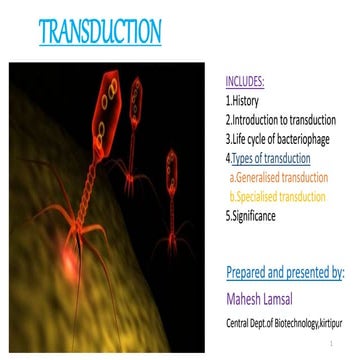 Gene transfer mechanisms in bacteria | PPT