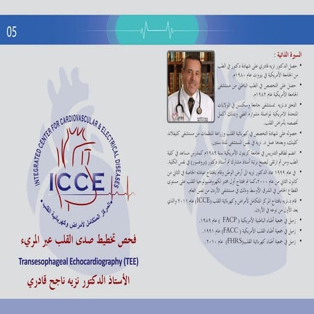 Transesophageal echocardiography (tee) | PDF | Heart and Cardiovascular ...