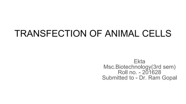 Transfection in animal cells through chemical methods like Calcium ...