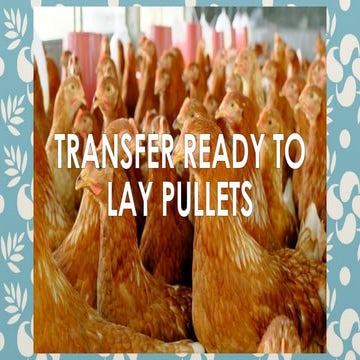 Famous hugot lines in Filipinoooooo.pptx