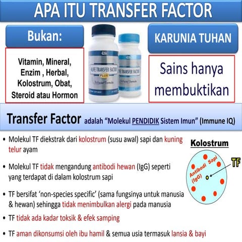 Agen resmi transfer factorindonesia | PPT