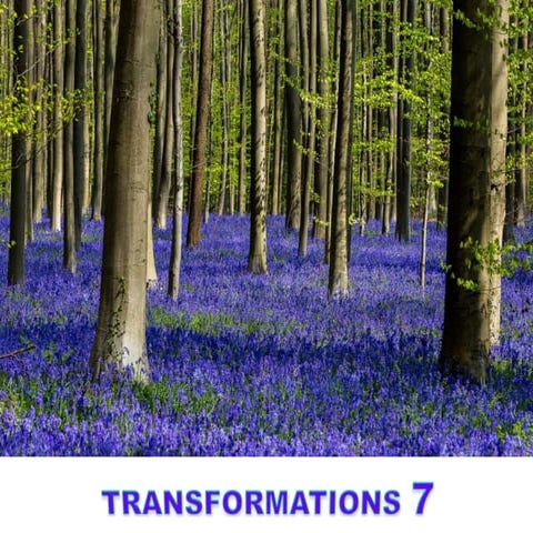 Transformations 7 | PPT